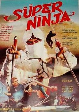 The Super Ninja - Film (1984) - SensCritique