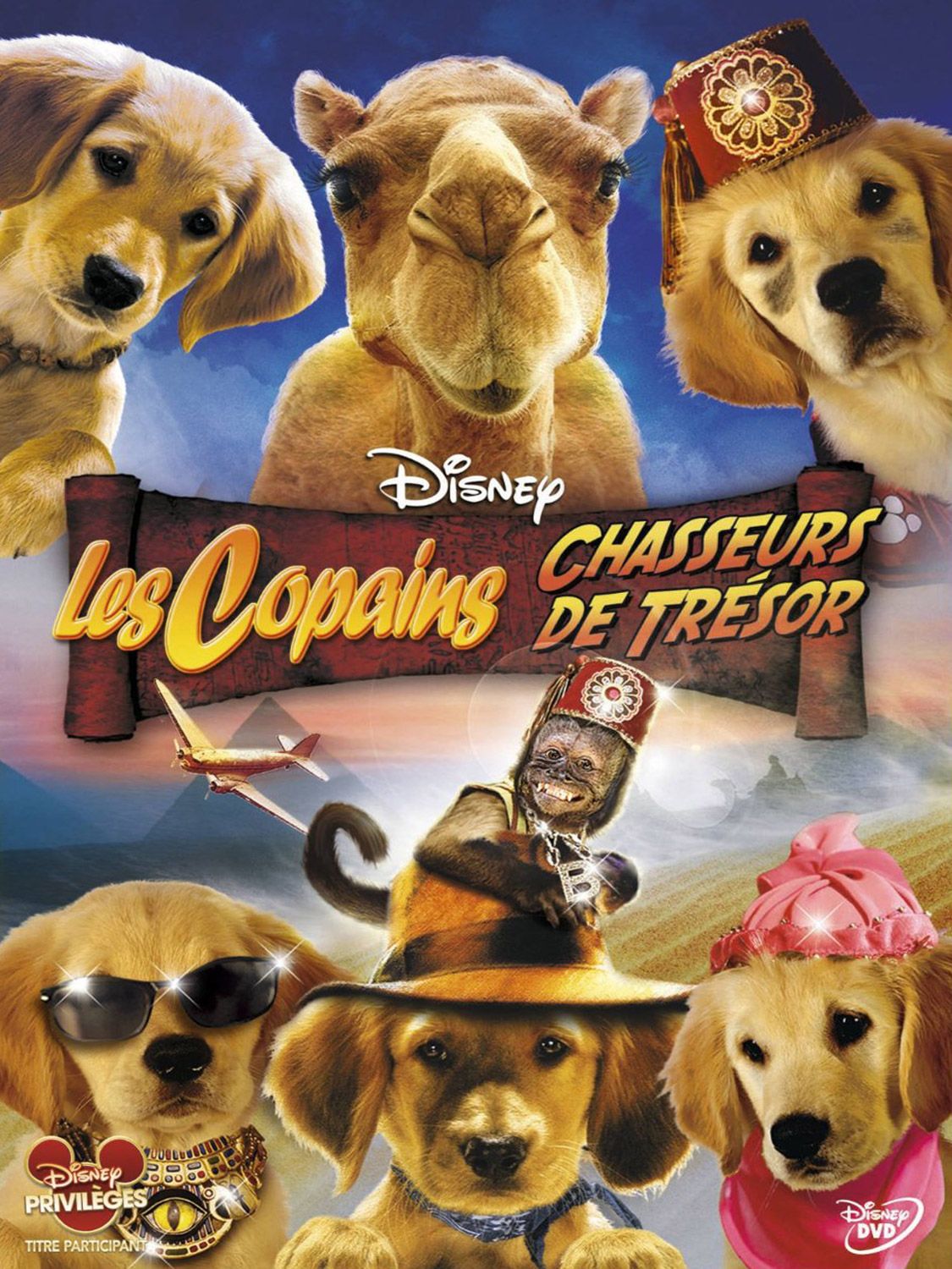 Les Copains chasseurs de trésor - Film (2012) - SensCritique