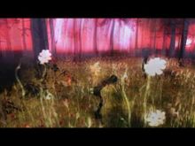 The Path (2009) - Jeu vidéo - SensCritique