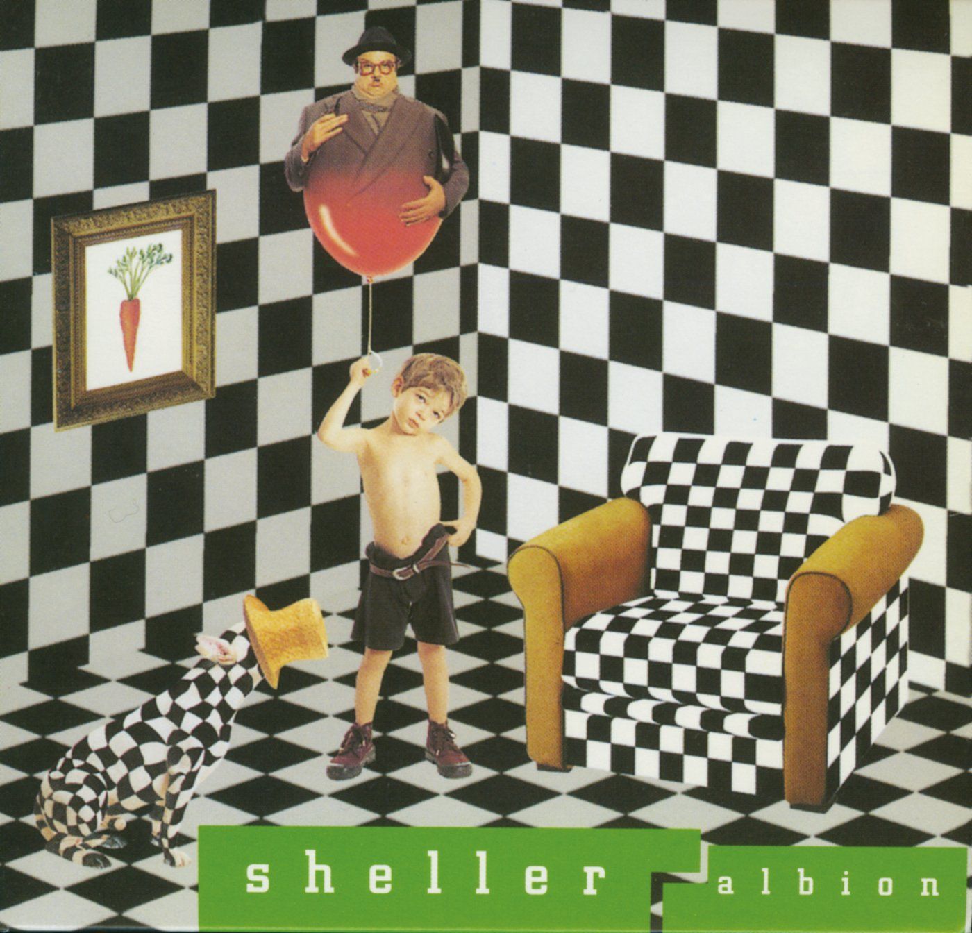 Albion - William Sheller - SensCritique