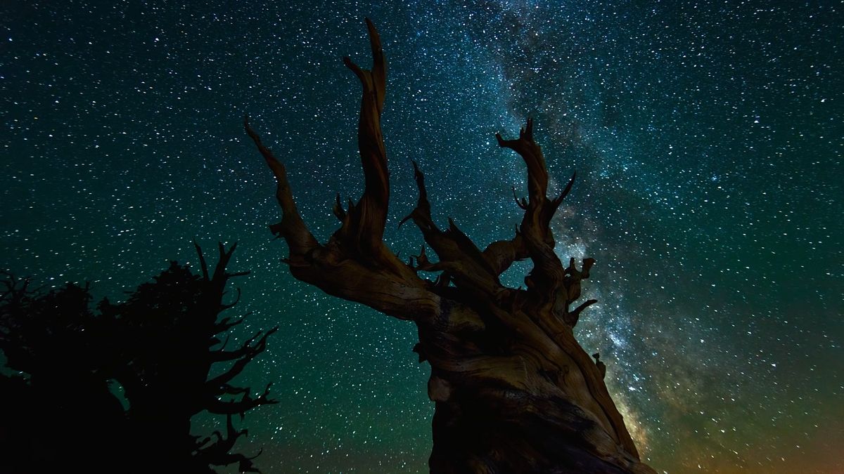 TimeScapes - Documentaire (2012) - SensCritique