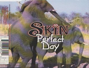 Perfect Day (Single) Skin - SensCritique