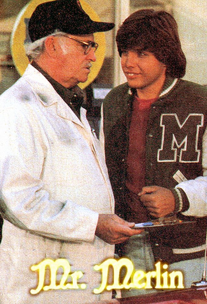 Mr. Merlin - Série (1981) - SensCritique