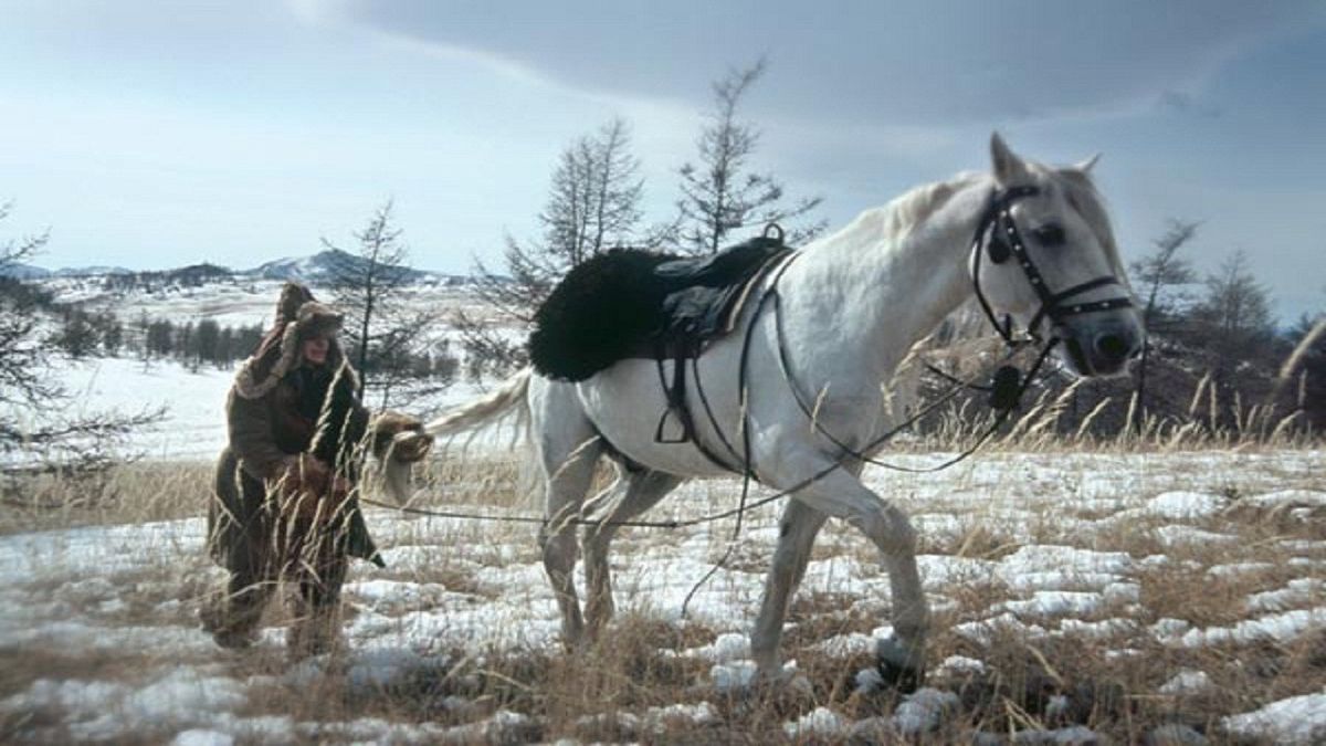 Serko - Film (2006) - SensCritique