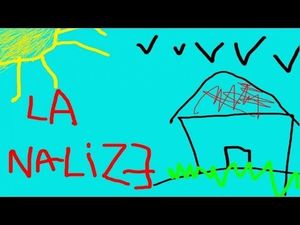 La Nalize - Série - SensCritique