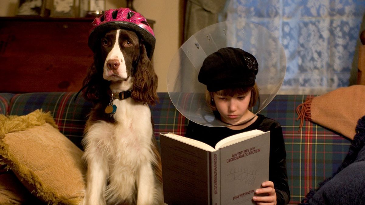 Familiar Strangers - Film - SensCritique