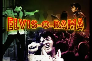 Elvis-O-Rama - Documentaire (2007) - SensCritique