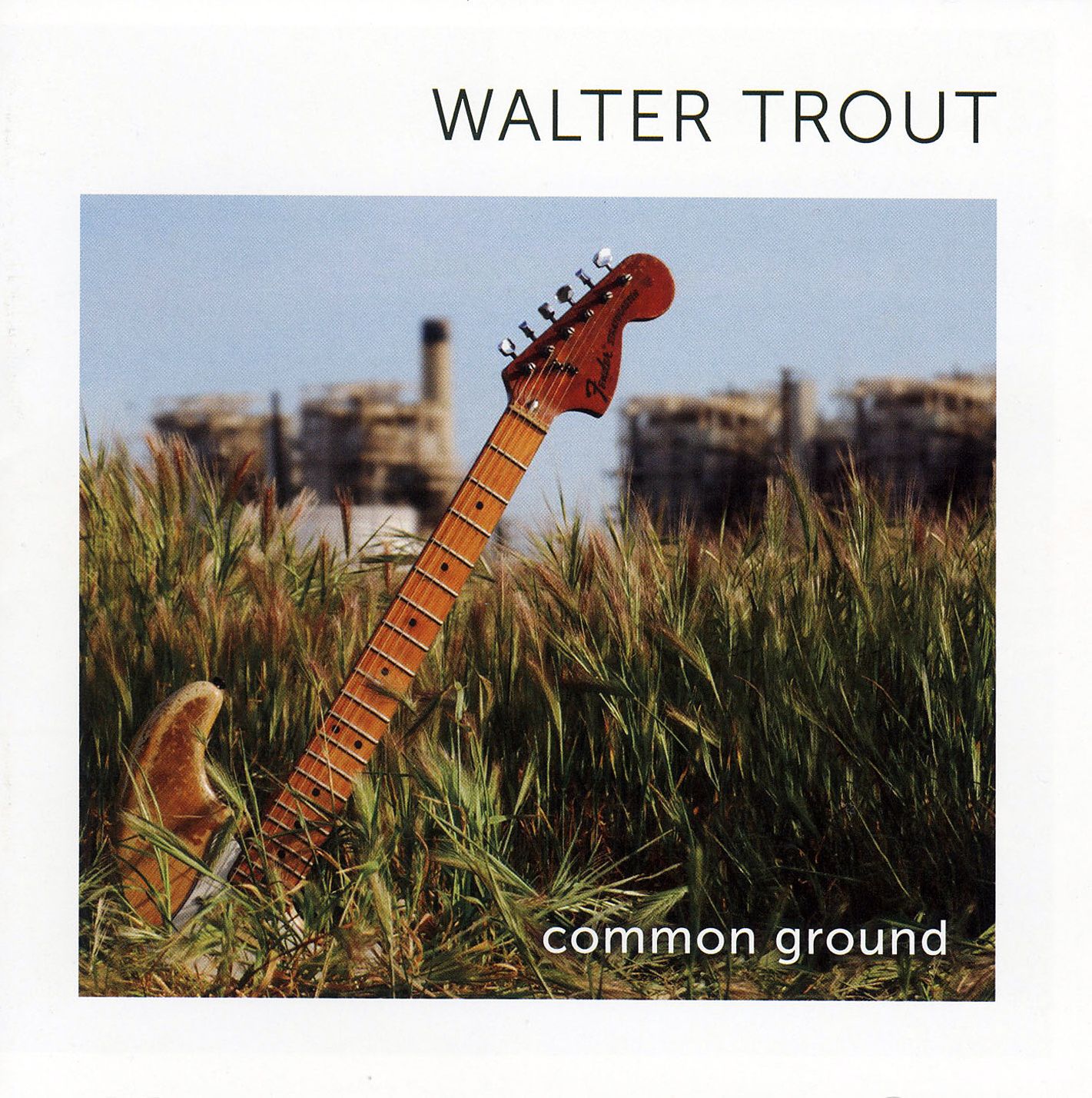 Common Ground - Walter Trout - SensCritique