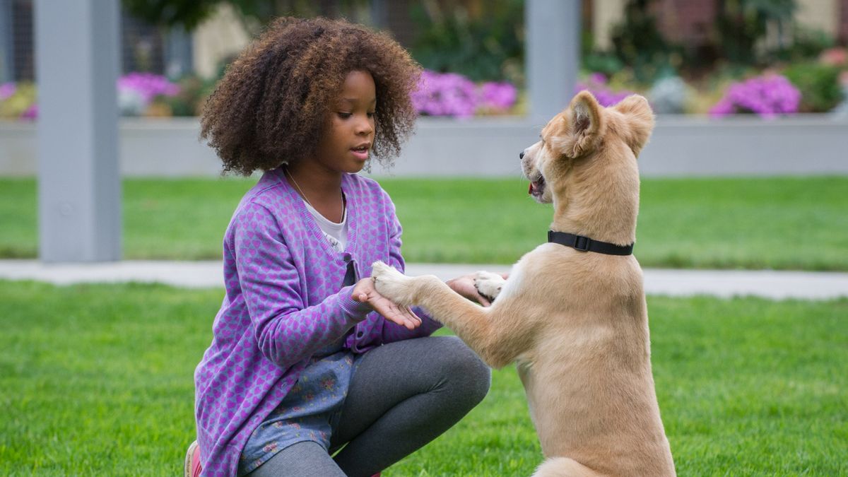Annie - Film (2014) - SensCritique