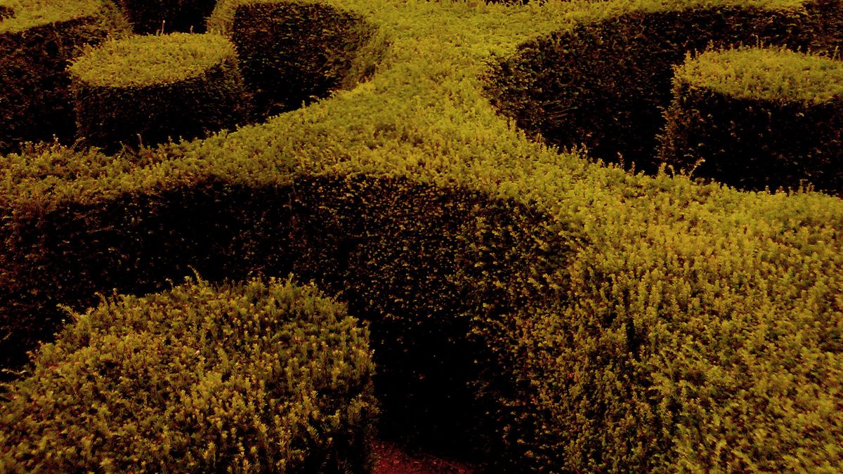 Tangle - Série (2009) - SensCritique