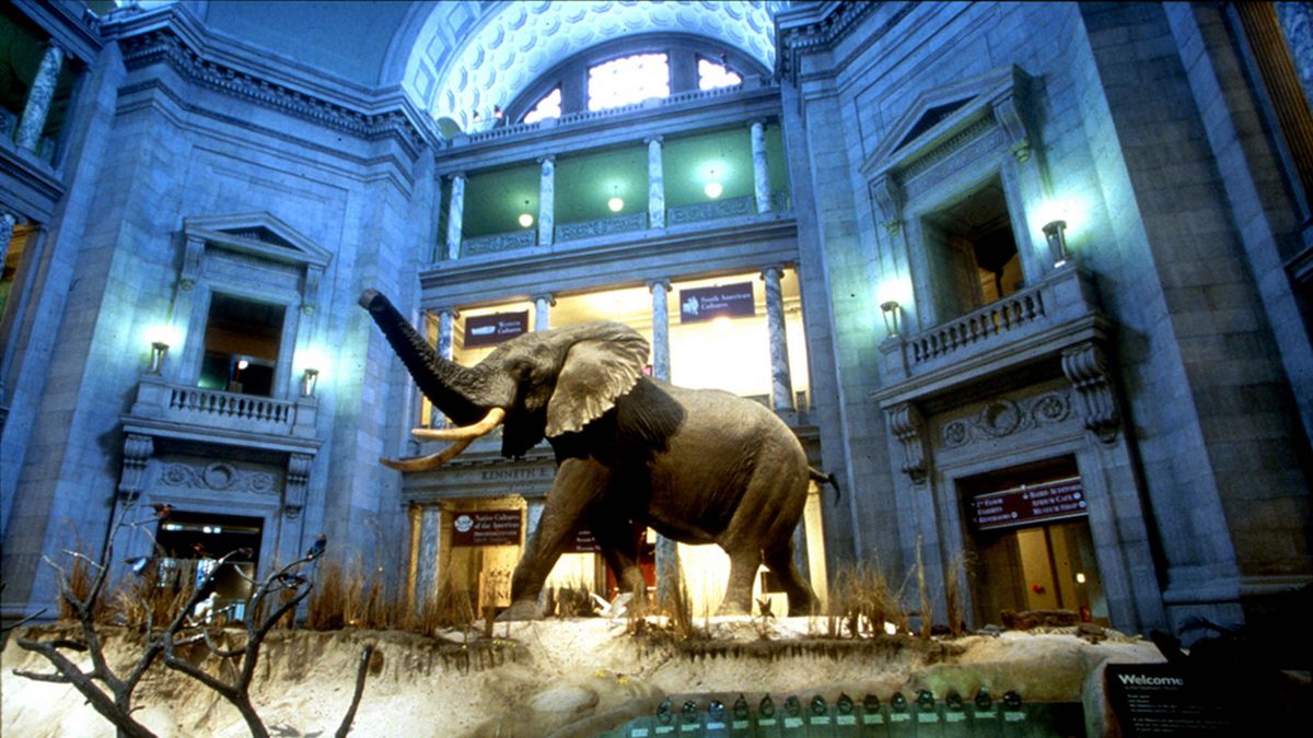 Smithsonian Channel Documentaries - Série (1992) - SensCritique