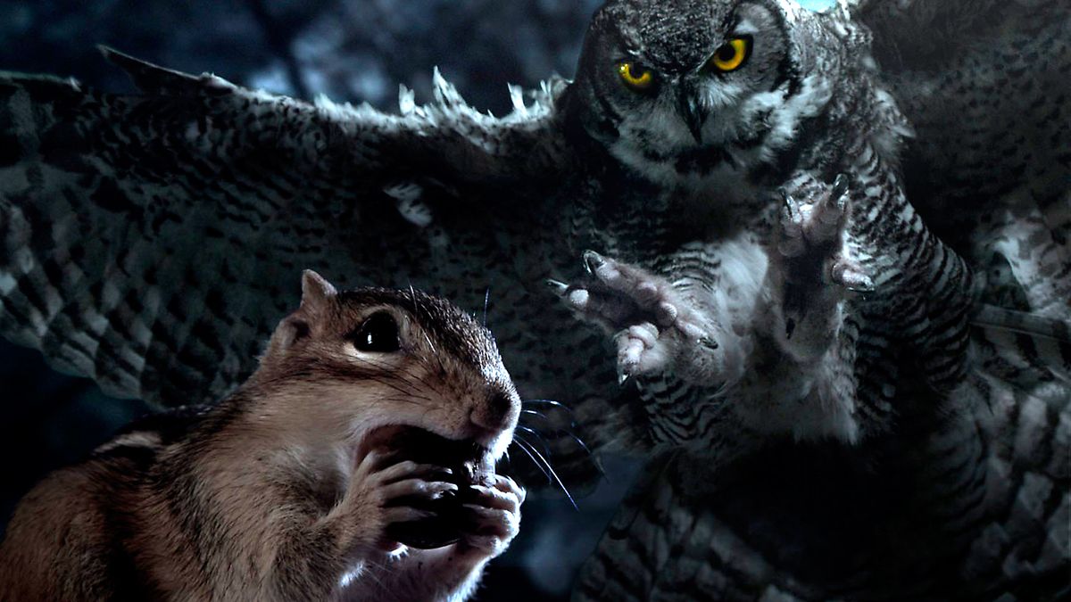 Hidden Kingdoms - Série (2014) - SensCritique