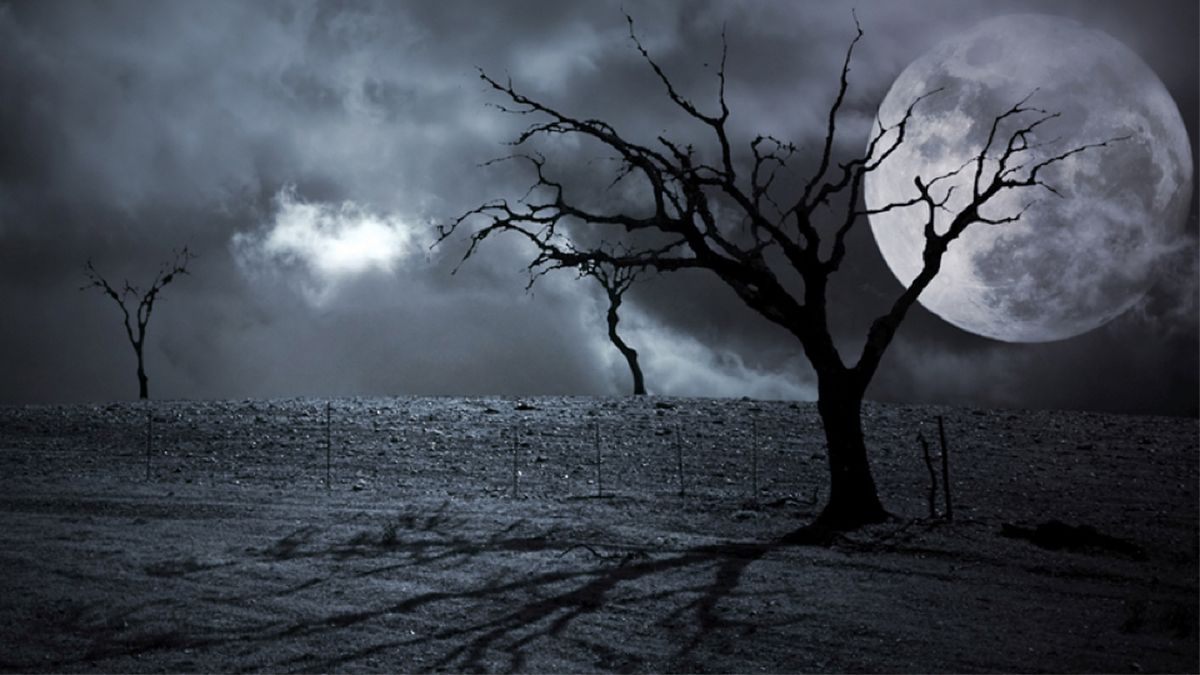 A Haunting - Série (2005) - SensCritique