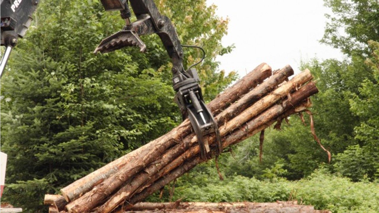 Images de American Loggers (2009) - SensCritique