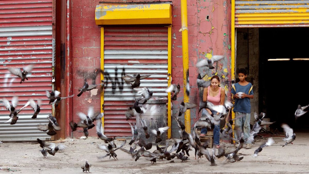 Chop Shop - Film (2007) - SensCritique