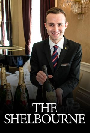 The Shelbourne - Série (2014) - SensCritique
