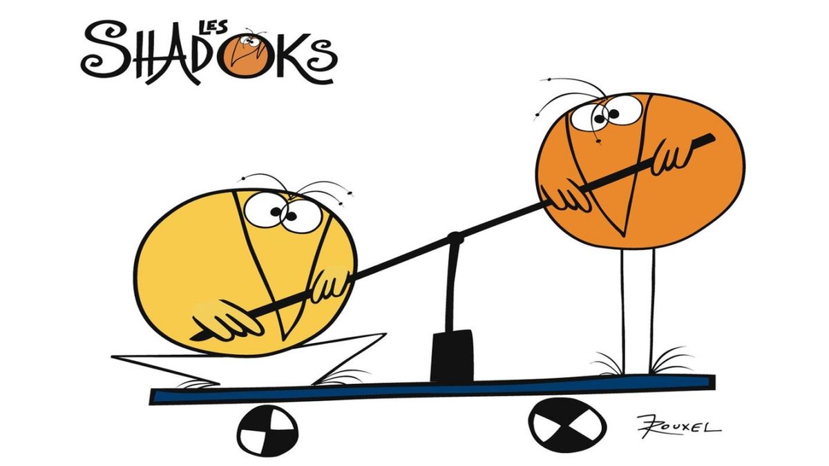 Les Shadoks - Dessin animé (cartoons) - SensCritique