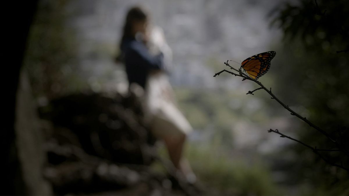 Mariposa - Film - SensCritique