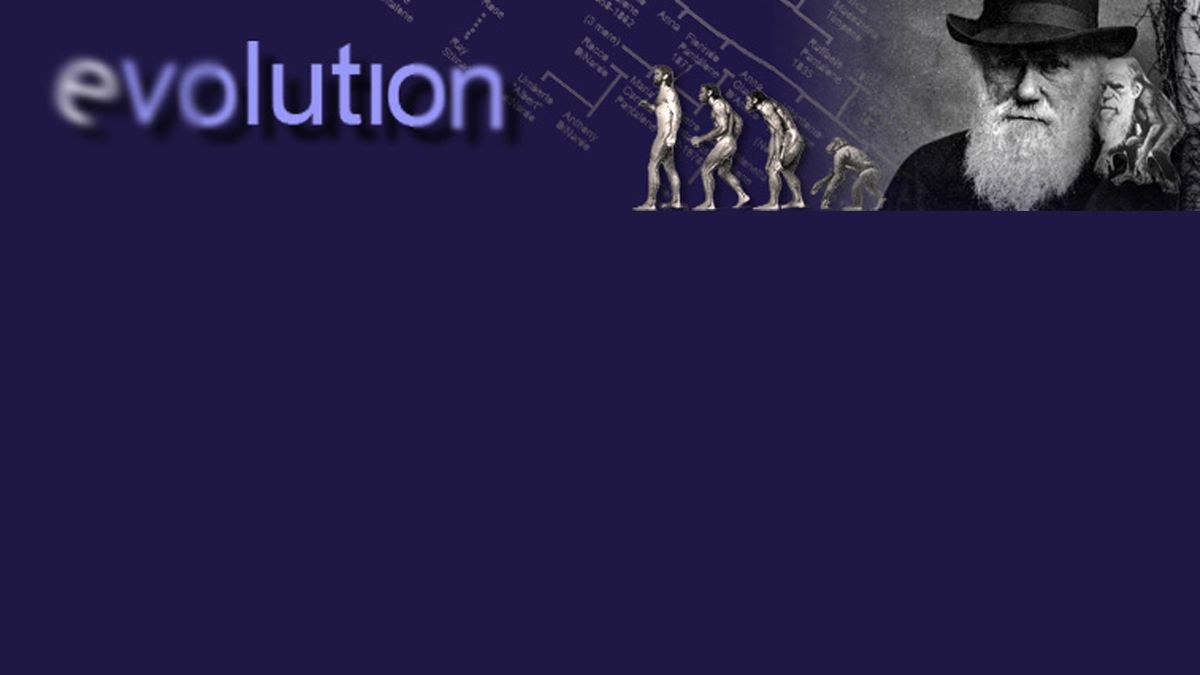 Evolution - Série (2002) - SensCritique