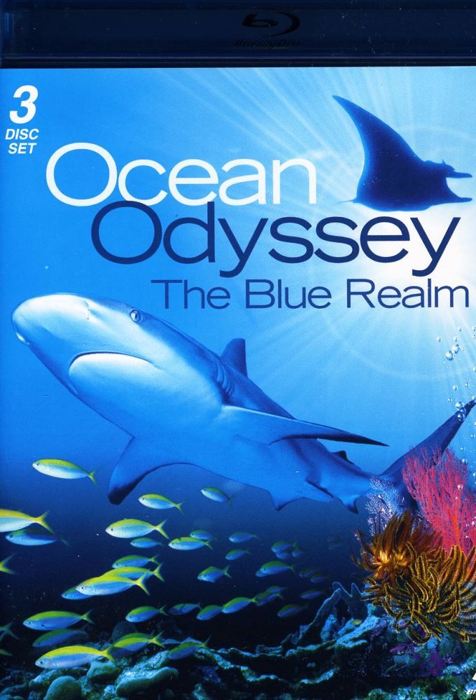Images de Ocean Odyssey: The Blue Realm (2004) - SensCritique