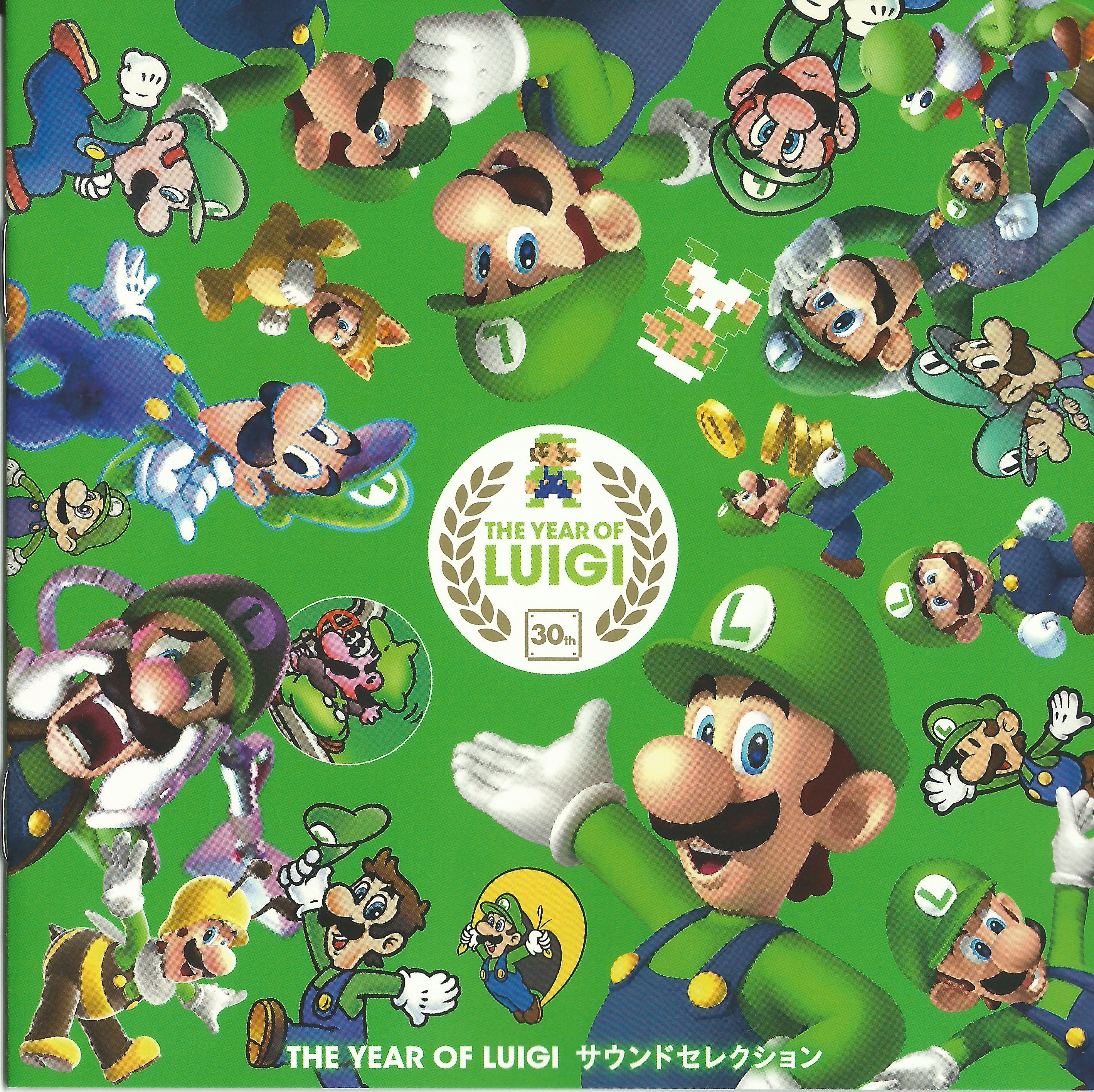 The Year Of Luigi