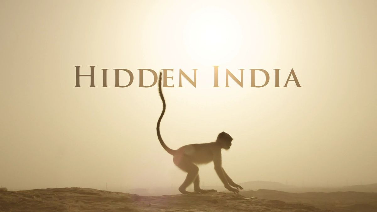 Hidden India - Série (2015) - SensCritique