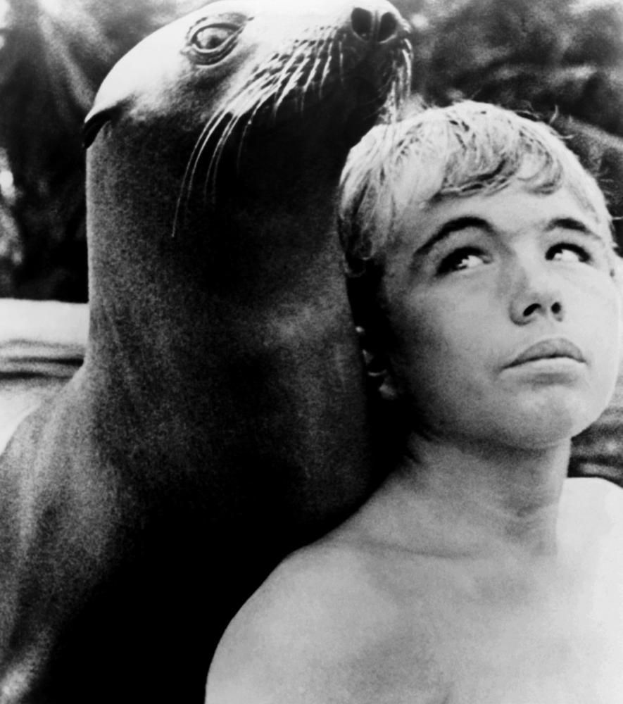 Salty - Série (1976) - SensCritique