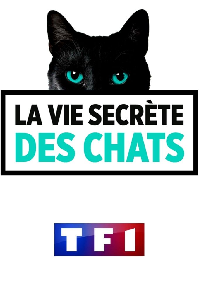 La vie secrète des chats - série (2017) - SensCritique
