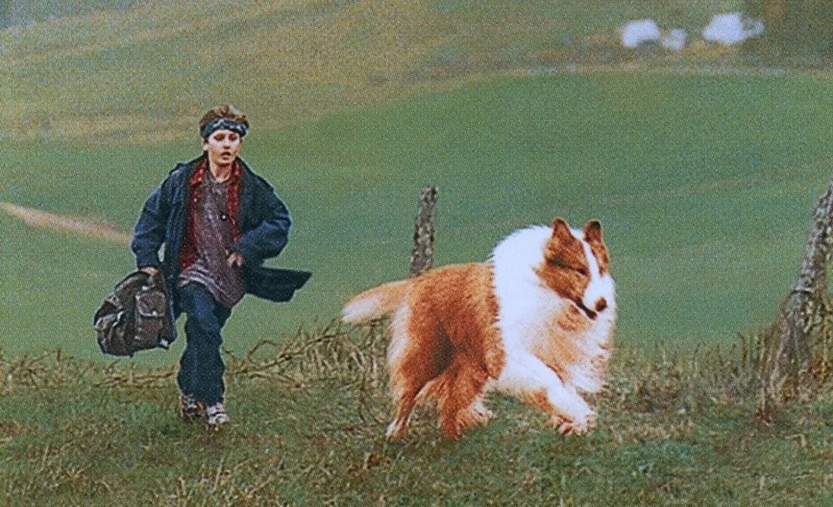 Lassie : Des amis pour la vie - Film (1995) - SensCritique