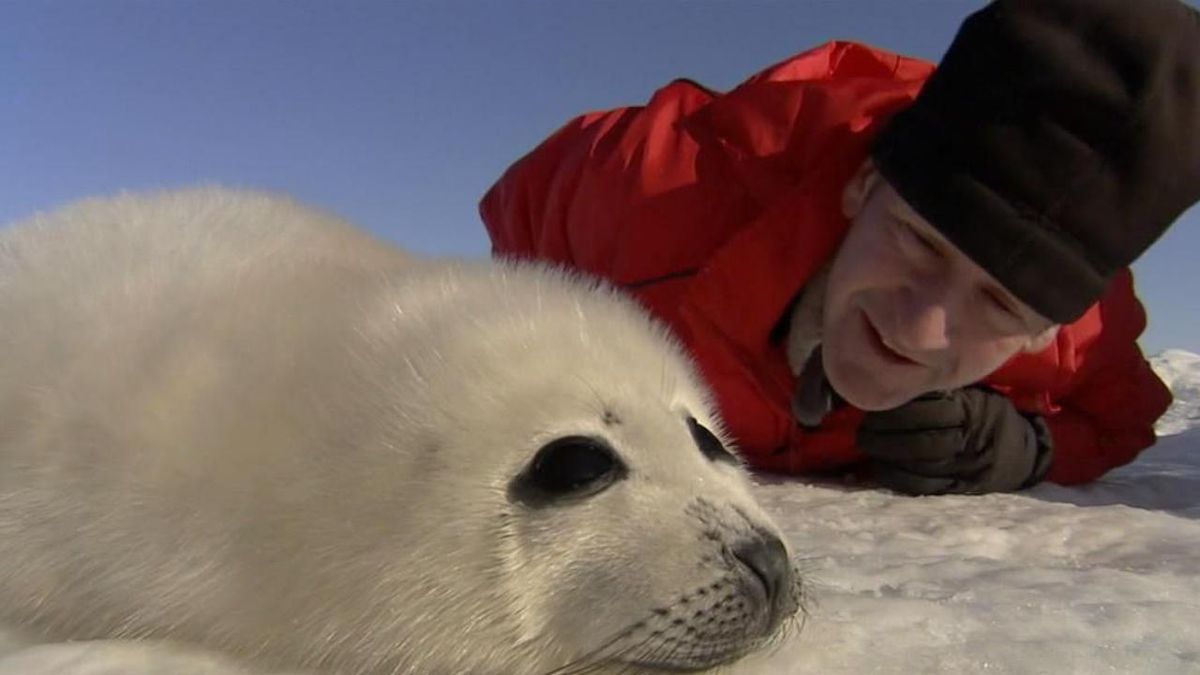 Arctic Exposure With Nigel Marven - Série (2007) - SensCritique