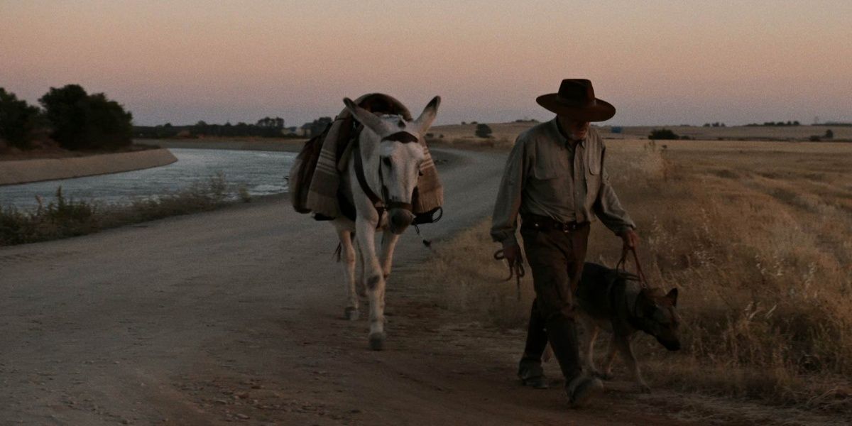 Images de Donkeyote (2017) - SensCritique