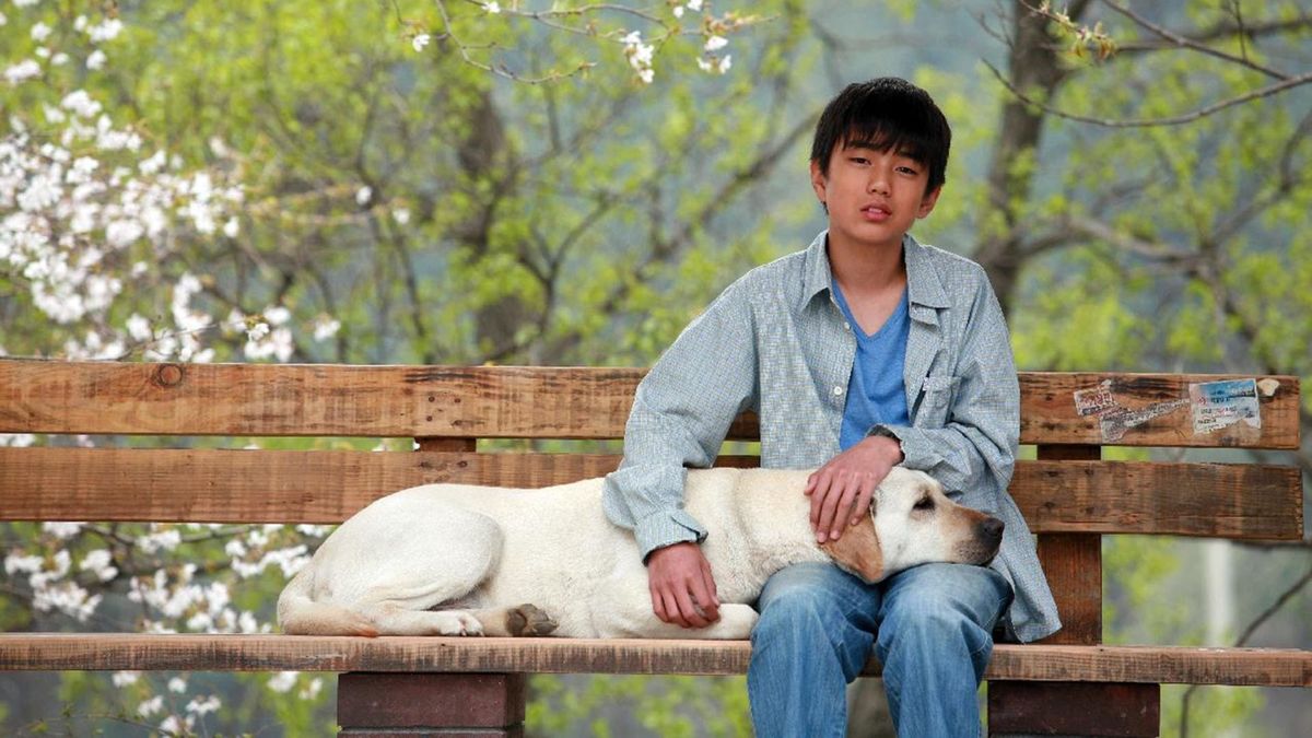 Hearty Paws - Film (2006) - SensCritique