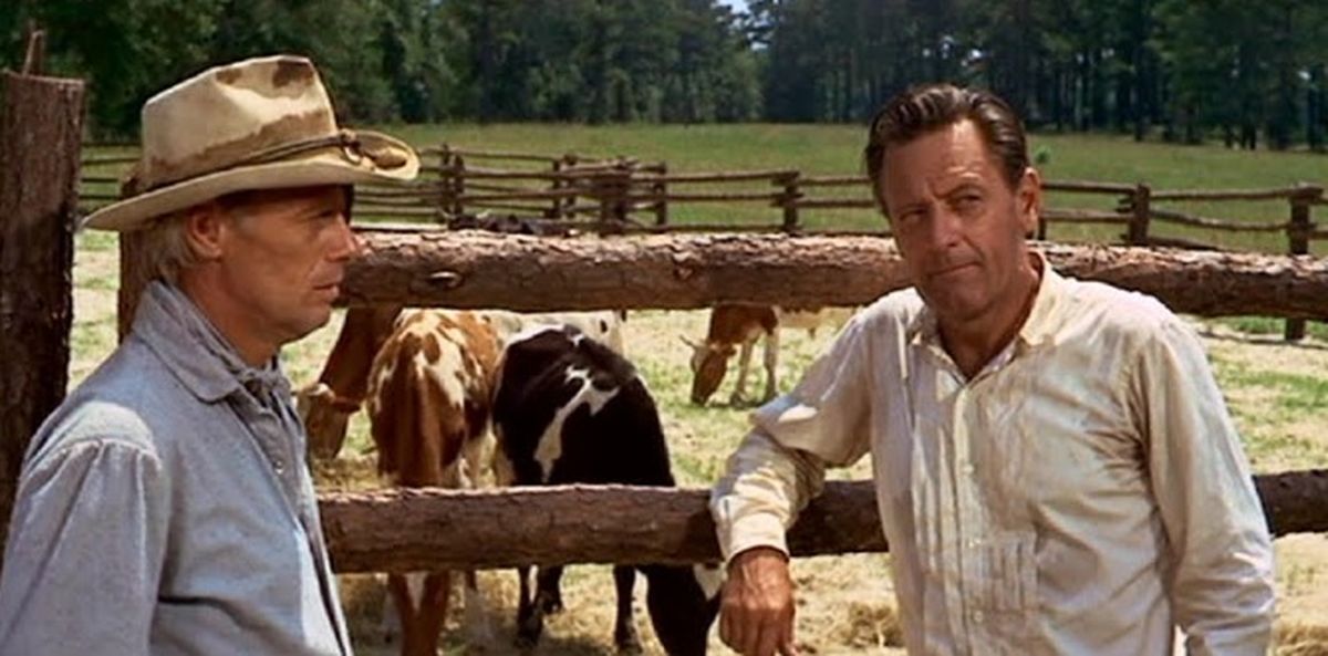 Alvarez Kelly - Film (1966) - SensCritique