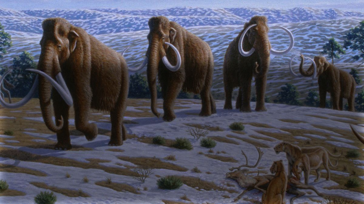 Wild New World - Série (2002) - SensCritique