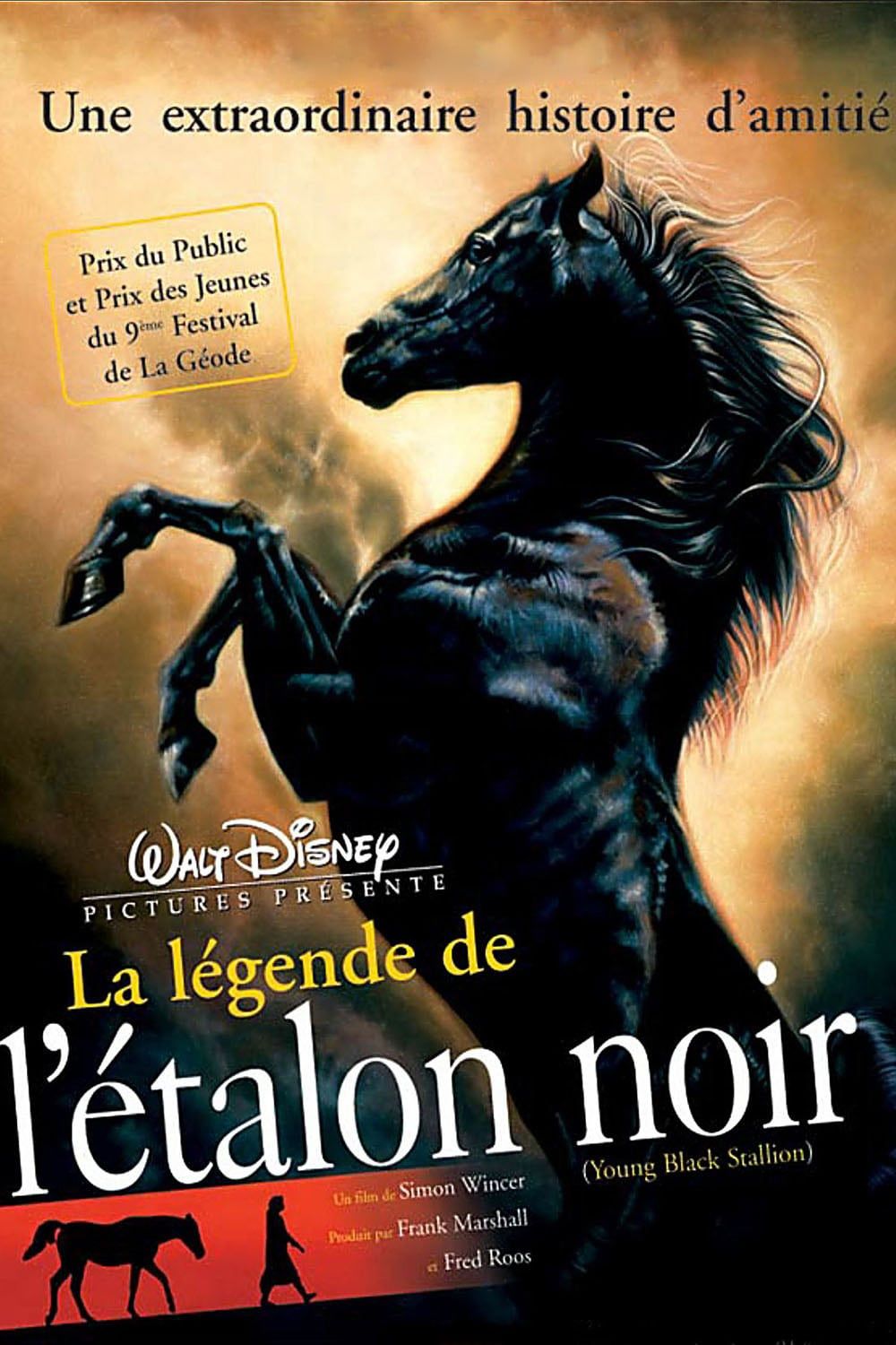 La Légende de l'Étalon noir - Film (2003) - SensCritique La Légende de l'Étalon noir - Film (2003) - SensCritique