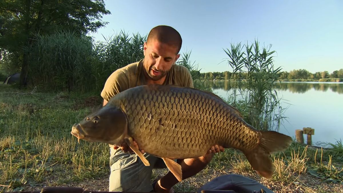 Monster Carp - Série (2016) - SensCritique