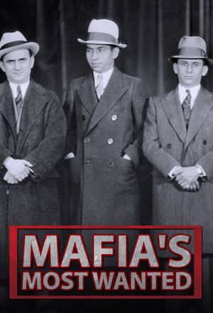 Mafia's Most Wanted - Série (2016) - SensCritique