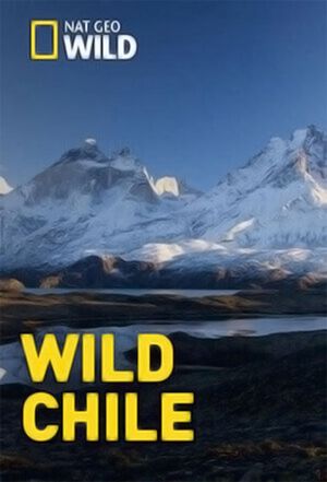 Wild Chile - Série (2018) - SensCritique