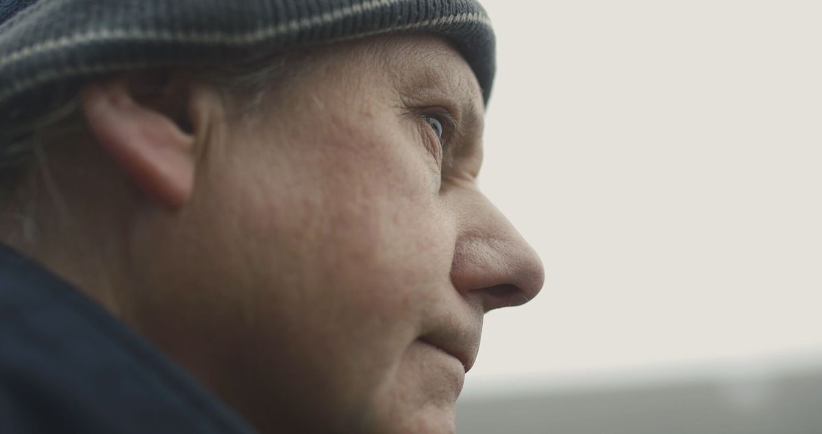 73 Cows - Documentaire (2018) - SensCritique