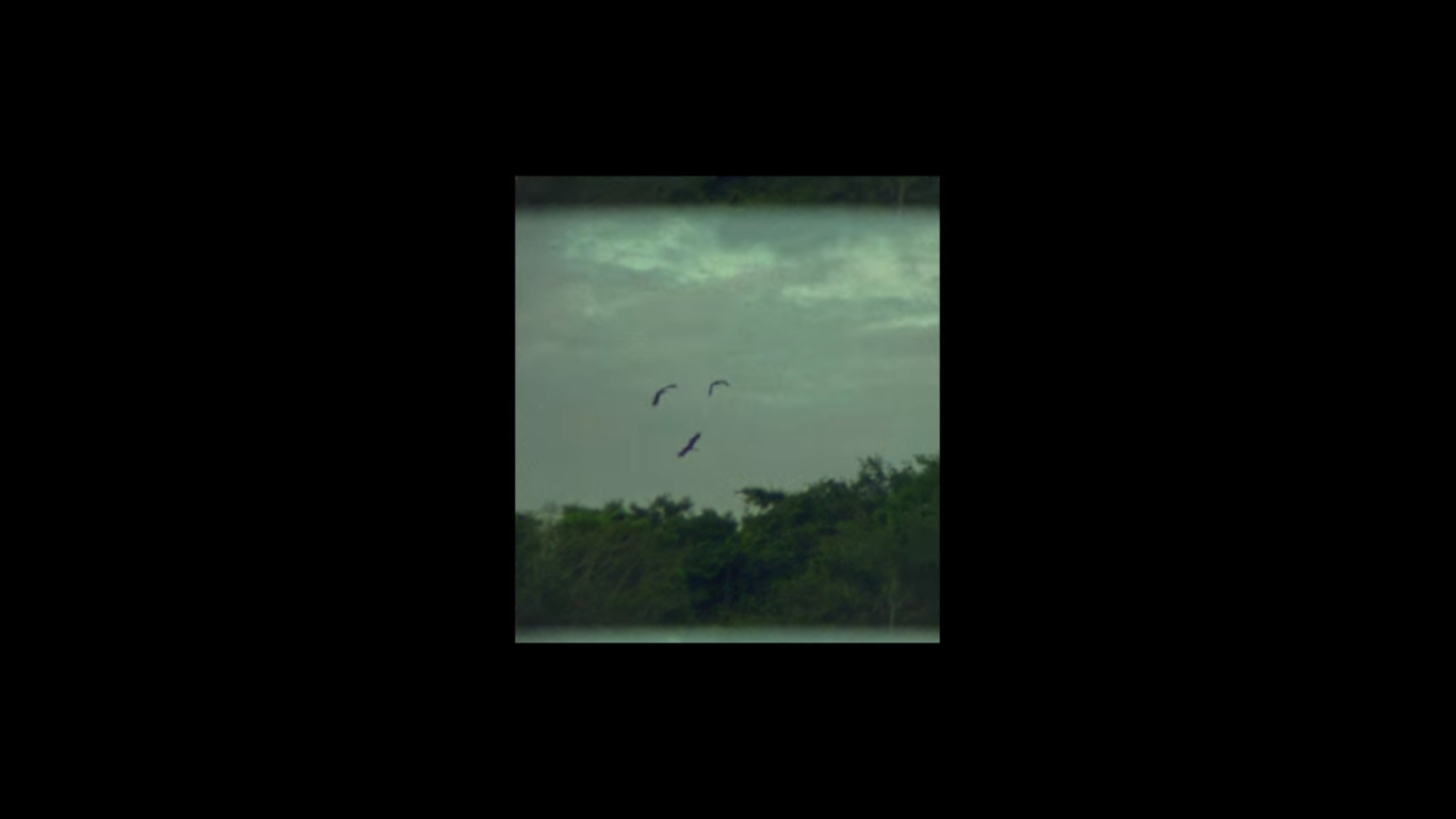 Flying Cat - Court-métrage (2019) - SensCritique