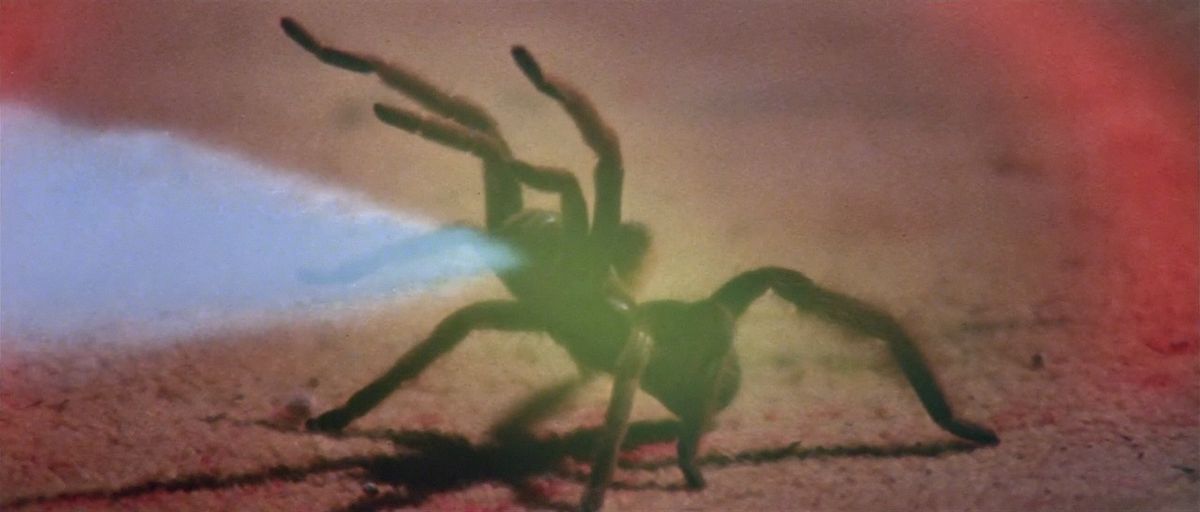 The Web of Death - Film - SensCritique