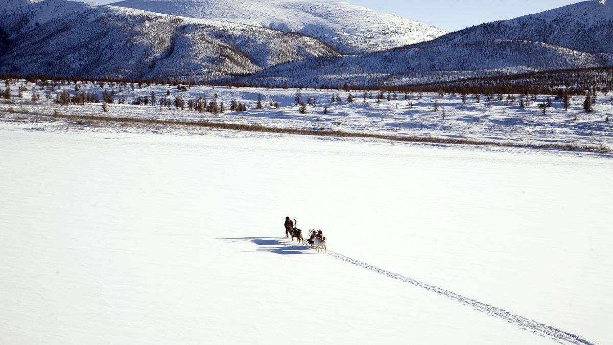 Loup - Film (2009) - SensCritique