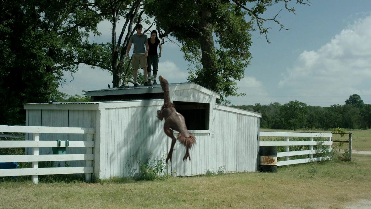 Terror Birds - Film (2016) - SensCritique