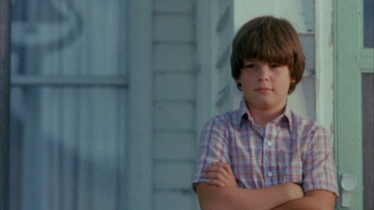 The Stone Boy - Film (1984) - SensCritique