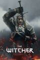 Affiches, posters et images de The Witcher (2019) - SensCritique