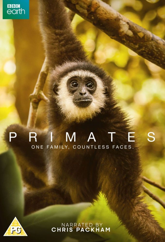 Primates - Série (2020) - SensCritique