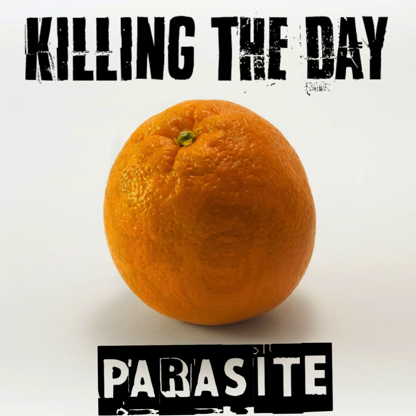 Parasite (Single) - Killing the Day - SensCritique