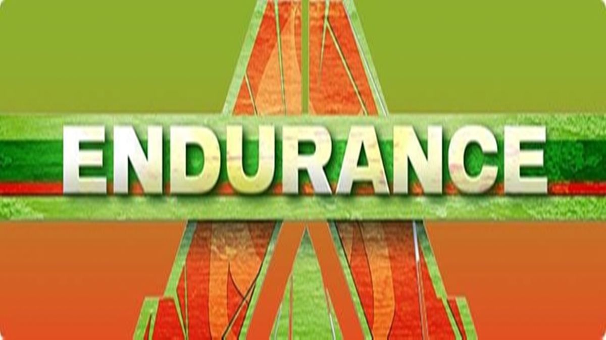 Endurance - Série (2002) - SensCritique