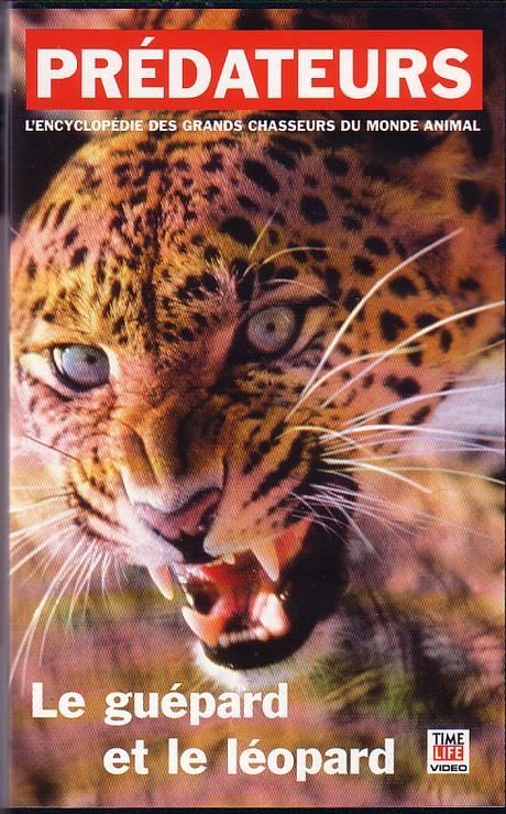 Affiches, posters et images de Le guépard et le léopard (1997)