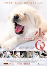 Little Q - Film (2019) - SensCritique